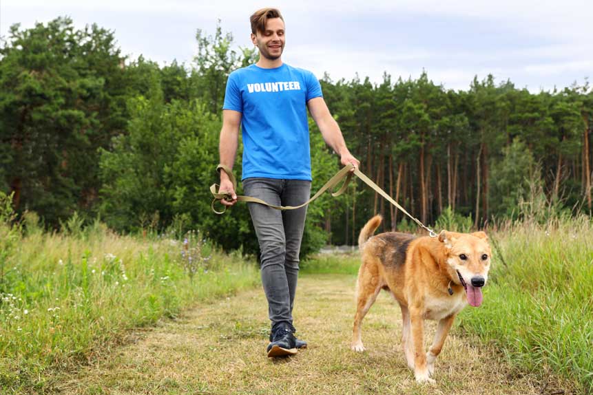 Embracing Empathy: Nurturing Compassion Beyond Adopting a Dog ...