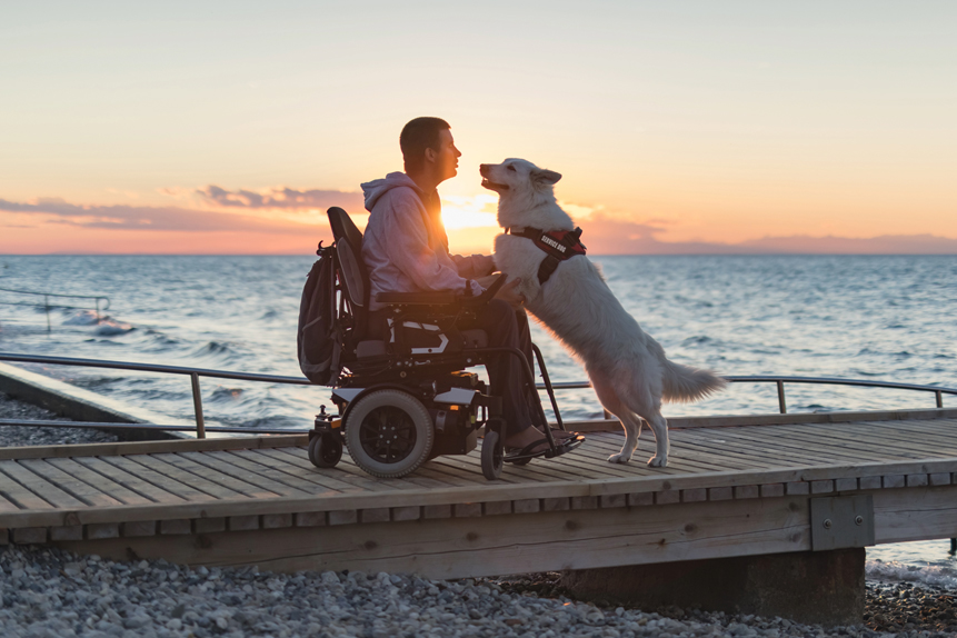 Decoding Support Animals vs. Service Animals: Navigating Rights and ...