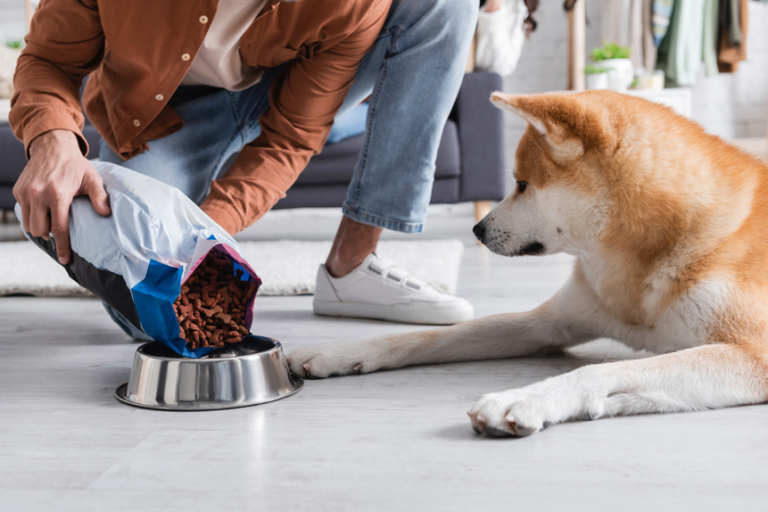 Essential Information for Submitting a Pet Food Complaint - Empowering ...