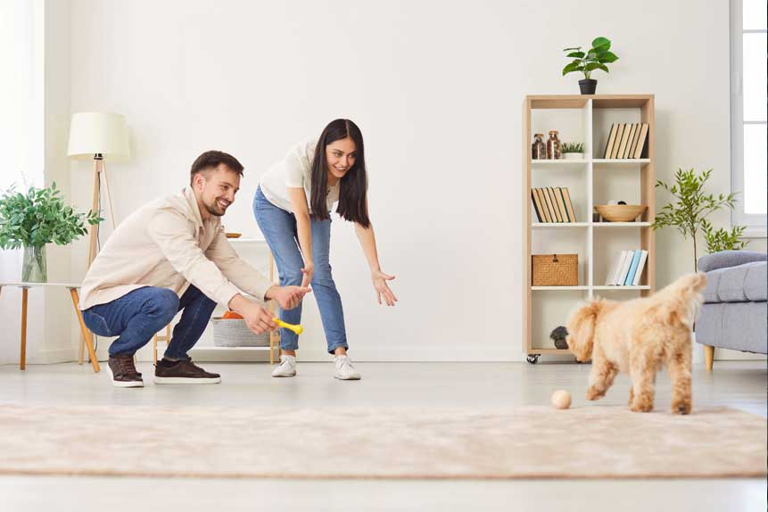 Setting the Stage for Success: Essential Tips for New Puppy Owners - Empowering Dog Lovers ...