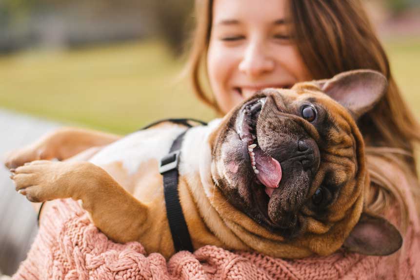 Decoding Your Dog's Smile: Understanding Canine Expressions and ...